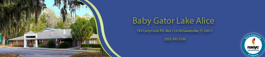 Baby Gator » University of Florida